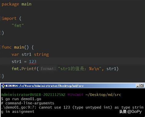 Go语言编程从入门到精通，变量、指针、常量golang 指针常量 Csdn博客
