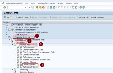 create segment in sap