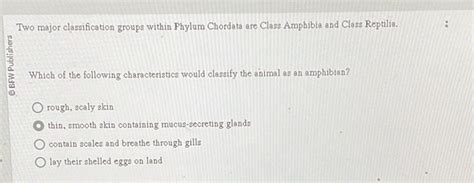 Two Major Classification Groups Within Phylum Chordata Are Class Amphibia And Class Reptilia