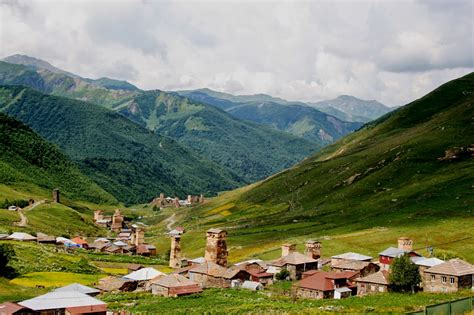 სვანეთის სოკოები და ლიქენები