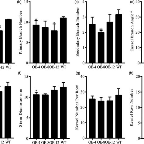 Performance Of Some Agronomic Traits In The Oe‐plants And Their