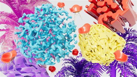A Bunch Of Different Colored Objects On A White Background Photo Free