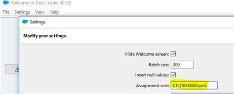 how to re run salesforce lead assignment rules flows and apex sponge