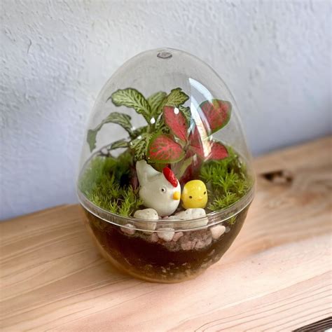 Mini Egg Corporate The Green Capsule