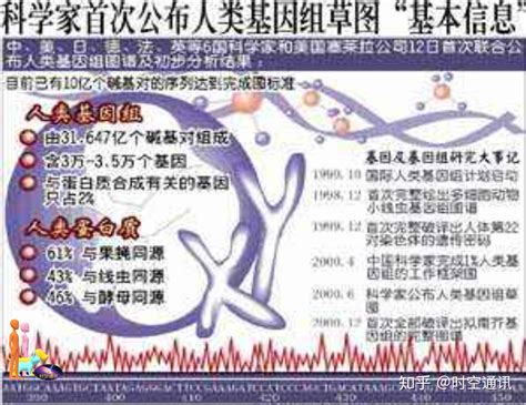 世界上没有 第一个人”，但有第一位祖先，你知道是谁吗？ 知乎