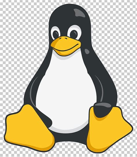 Tux Racer Red Hat Enterprise Linux PNG Clipart Beak Bird Computer Icons Flat Flightless