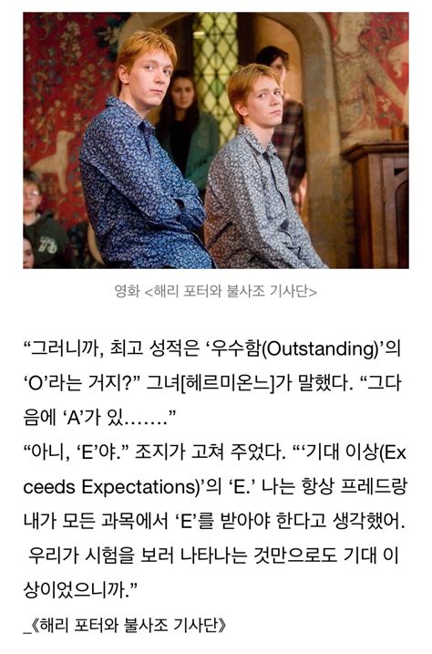 펌글 해포 원작 위즐리쌍둥이 웃긴 장면 유머이슈 Yuldo 펌글 해포 원작 위즐리쌍둥이 웃긴 장면 유머이슈 Yuldo