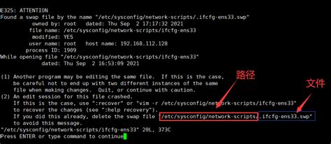 linux使用vi编辑文件时报another program may be editing the same file 已解决