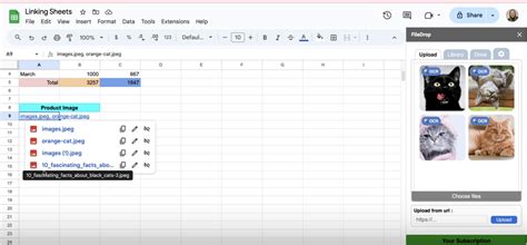 How To Link Data Between Spreadsheets In Google Sheets FileDrop