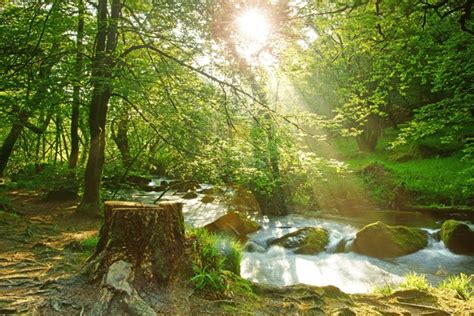 436 Cornish Waterfall Royalty Free Photos And Stock Images Shutterstock