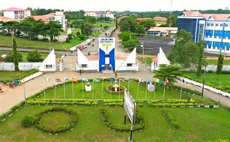 Top 50 Best Schools Of Nursing In Nigeria In 2025 Myuni