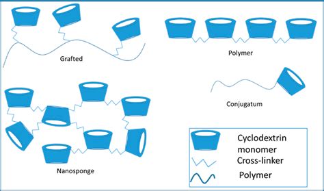 Figure 1 From Cyclodextrins In Drug Delivery Systems And Their Effects On Biological Barriers