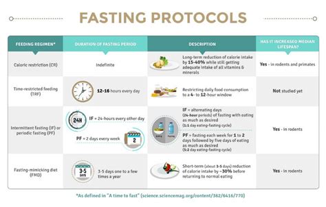 How To Intermittent Fast An Exploration Of Fasting Protocols Gut Brain Brain Health Gut