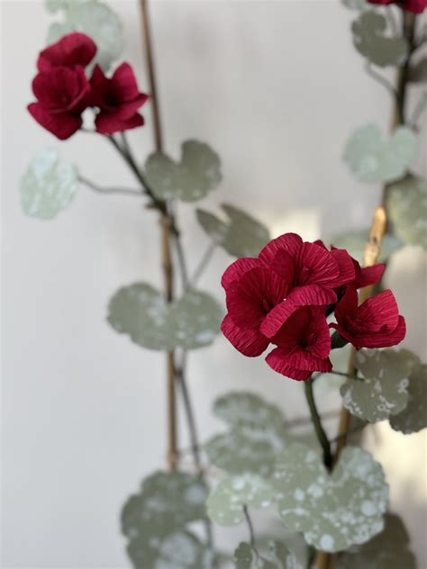 Paper Geranium