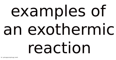 Examples Of An Exothermic Reaction