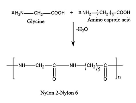 The Monomer Of Biodegradable Polymer Nylon 2nylon 6 Class 12 Chemistry Cbse