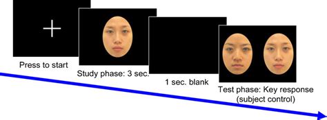 Illustration Of The Sequential Two Alternative Forced Choice Face