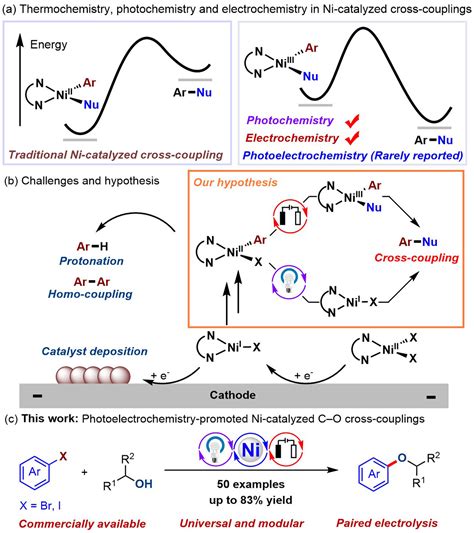 Photoelectrochemistry Promoted Ni Catalyzed Co Cross Couplings
