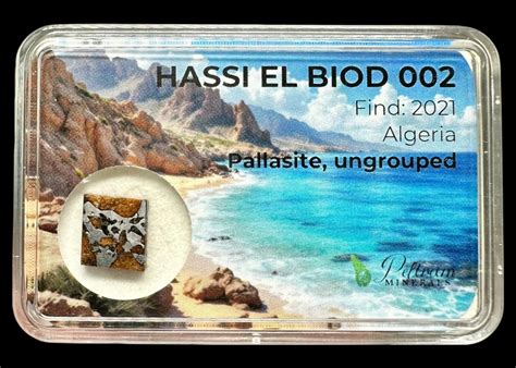 Hassi El Biod 002 Peltramminerals
