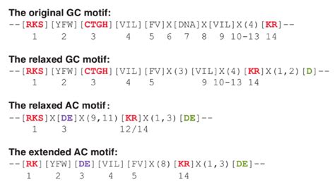Guanylyl Cyclase And Adenylyl Cyclase Motifs Employed In The