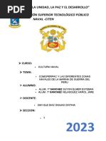Estructura Orgánica De La Marina Del Perú Pdf Guardacostas Militar