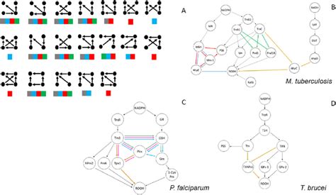 identification of 4 node motifs in pathogen thiol networks motif