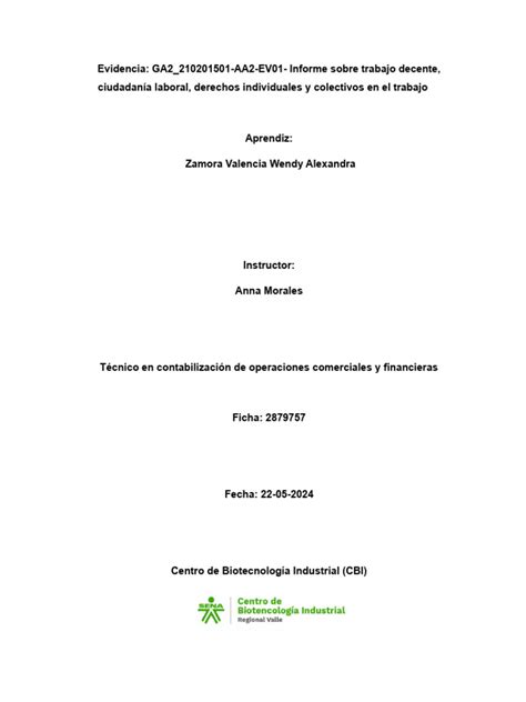 Informe Sobre Trabajo Decente Pdf Derecho Laboral Salario