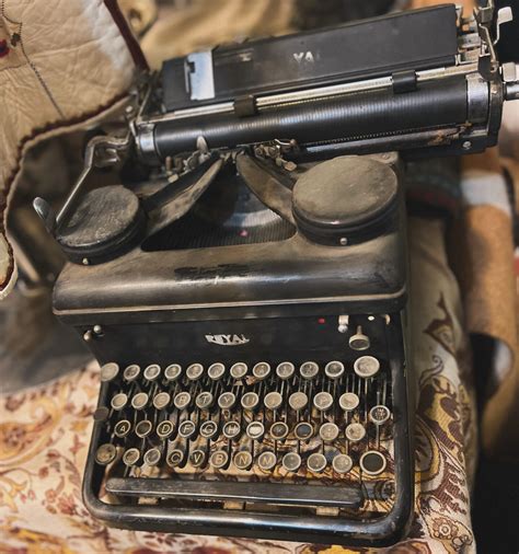 Dust Included Dolly Python