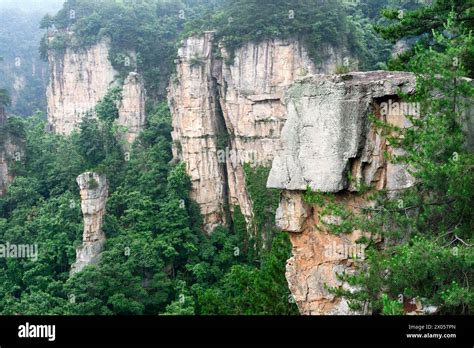 Sandstone Pillars Rise Above The Lush Forest Of Zhangjiajie National