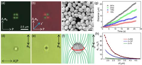 Charged Dumpling Colloidal Particles In Nematic Lc As Model System For Download Scientific