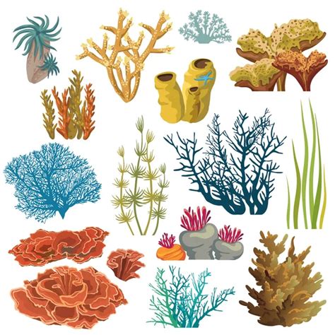 Dibujos De Arrecifes De Coral Marinos