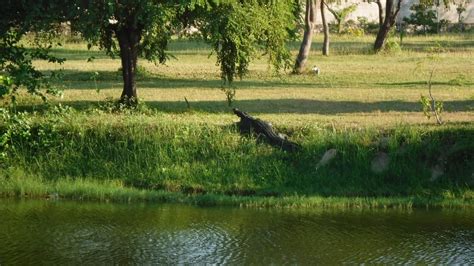 Kroko Amethyst Resort Passikuddah Passikudah • Holidaycheck