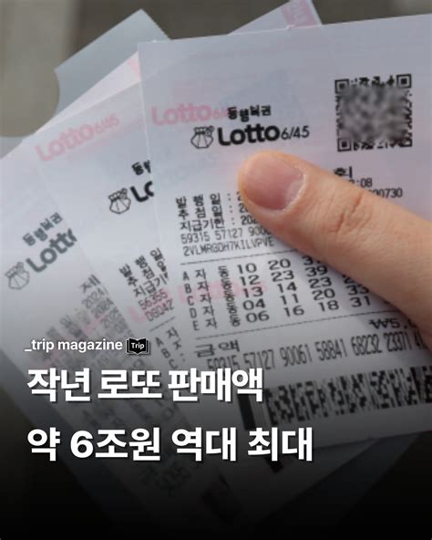 트립매거진 미국 수도 워싱턴dc 인근 로널드 레이건 공항 주변 상공에서 29일 현지시간 오후 여객기가 군용 헬기와 충돌한 사고로 탑승객 67명 전원이 사망했습니다