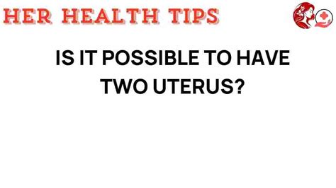 The Fascinating Truth About Having Two Uterus Is It Possible