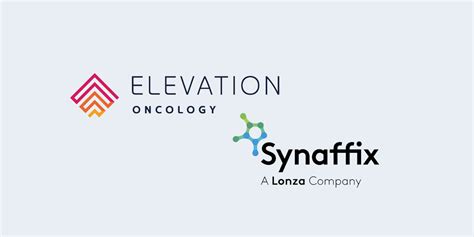 Elevation Partners With Synaffix In 368m Deal To Advance Her3 Adc