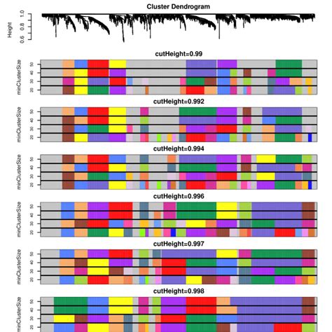 Wgcna Algorithm Applied To Yeast Cell Cycle Gene Expression Data Set