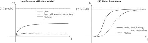 Theoretical Models Of Hydrogen Distribution A In Gaseous Diffusion Download Scientific