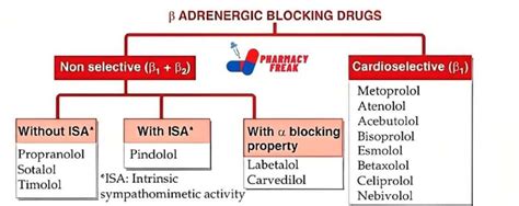 Classification Of Beta Adrenergic Blockers Pharmacy Freak