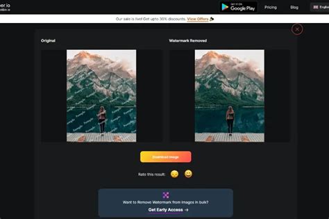 Remove Watermarks From Videos Top Free Tools Tips