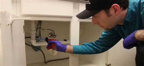 Cockroach Gel Treatment Gel Treatment Pestronix Services