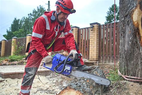 Rope Access Is My Daily Job I Often Take A Camera With Me To Work Heres What I Captured