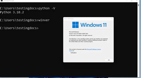 Install Python On Windows Testingdocs