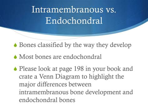 Ppt The Skeletal System Powerpoint Presentation Free Download Id 2431767