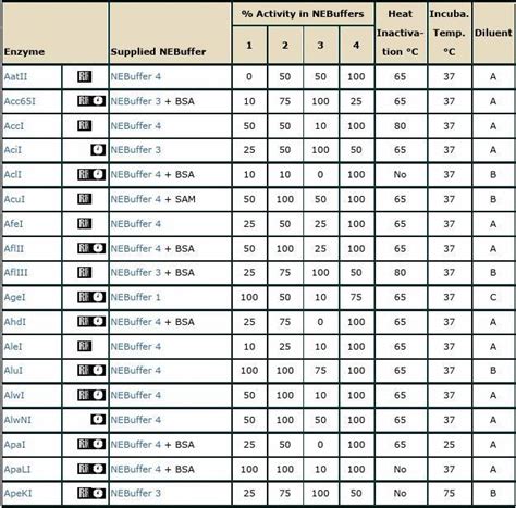 Neb内切酶产品具体buffer活性表word文档在线阅读与下载无忧文档