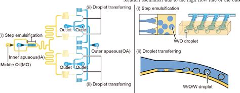 Figure 1 From High Throughput Generation Of Giant Liposomes Utilizing