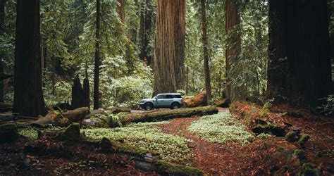 Meet Preston Palmo Filmmaker And Social Media Content Creator Shoutout Arizona