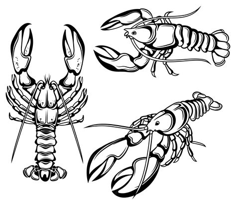 Lobster Clip Art Black And White