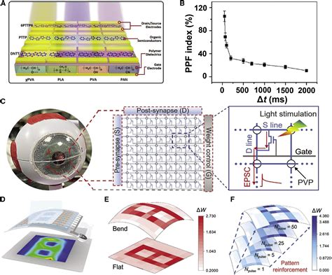 Advances In Optoelectronic Artificial Synapses Cell Reports Physical Science