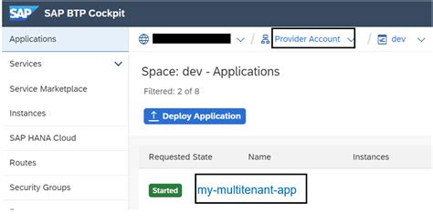 Fundamentals Of Multitenancy In Sap Btp Sap Community