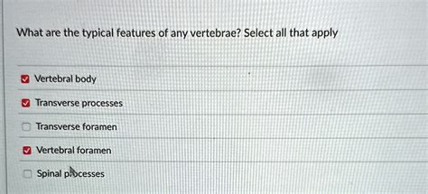 What Are The Typical Features Of Any Vertebrae Select All That Apply
